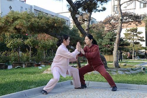Taijiquan | Intangible Heritage - UNESCO Multimedia Archives